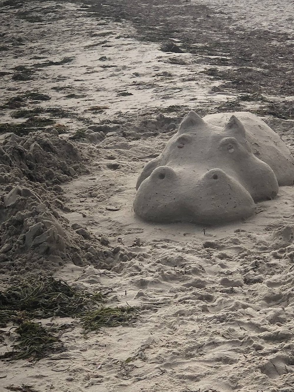 DMA on a 4th of July! Is there anything sweeter!!