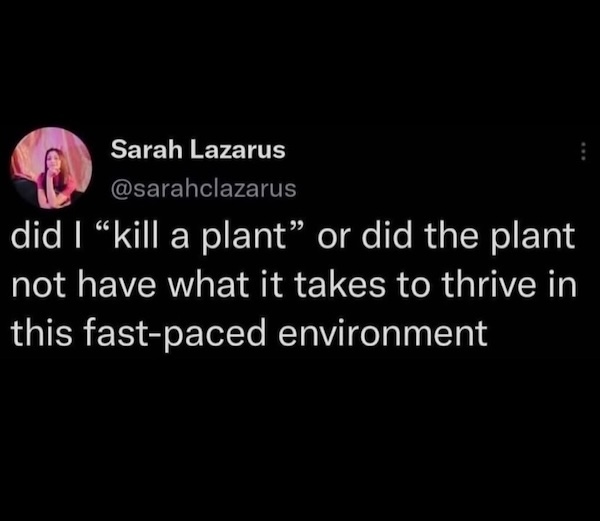 Moronic Memes 4 Dummies (35 Photos)