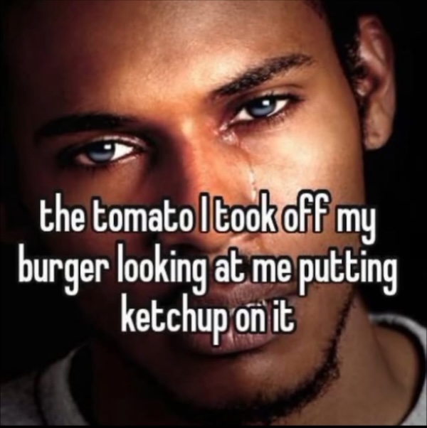 Moronic Memes 4 Dummies (35 Photos)