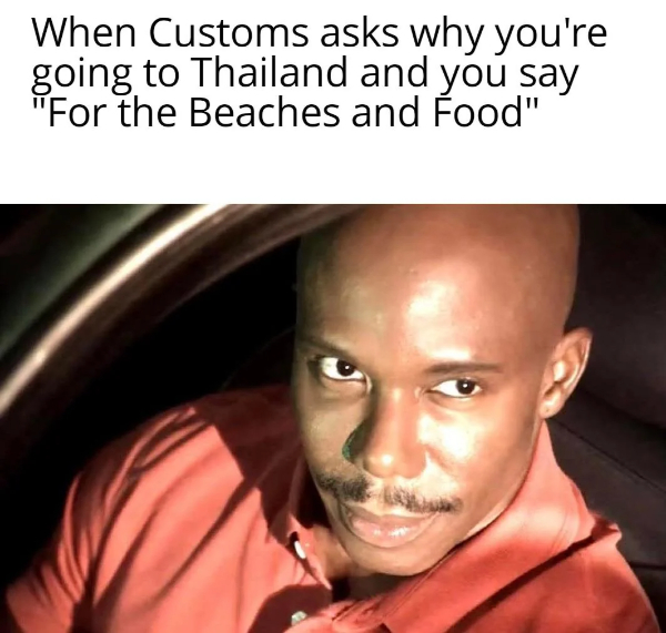 I Have a Fever & the Cure Is Dank Memes