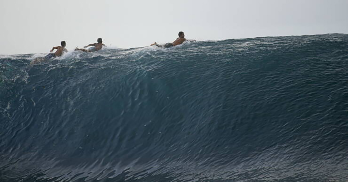 WMA has the most amusing images on the web today