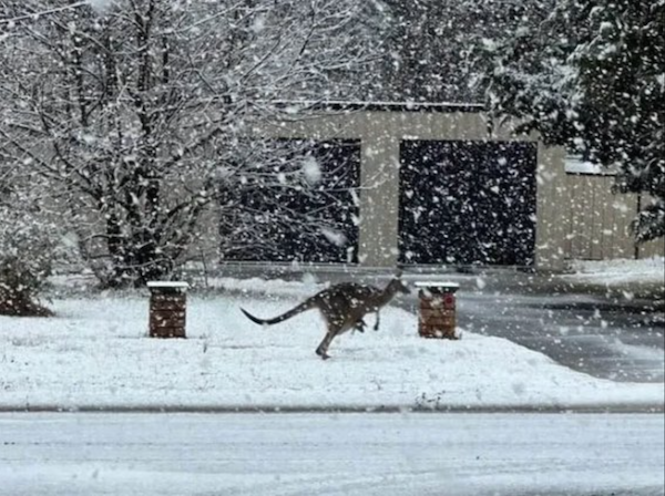 Daily Afternoon Randomness Best Funny Photos Sexy Chivette Girls DAR