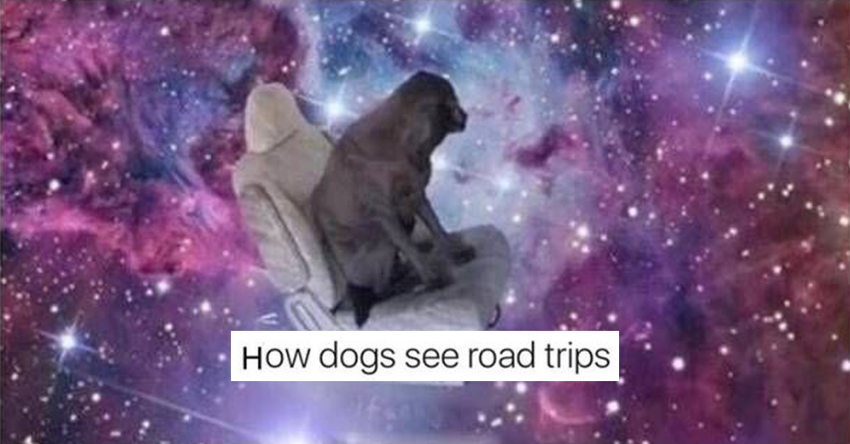 Funny Memes | The Funniest and Most Hilarious Memes Ever - theCHIVE