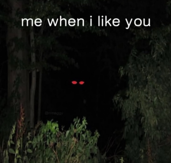 Daily Evening Randomness (Nightcap)