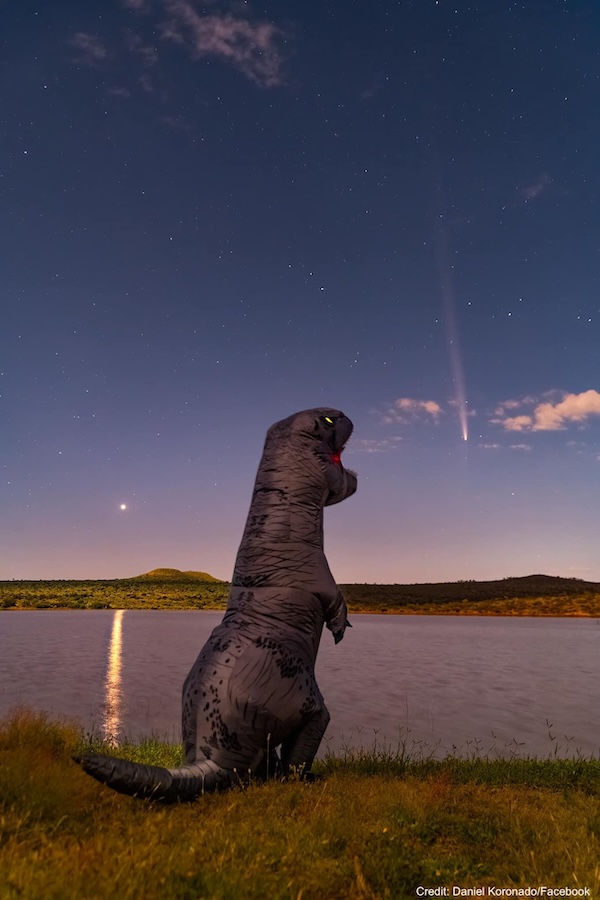 Daily Evening Randomness (Nightcap)