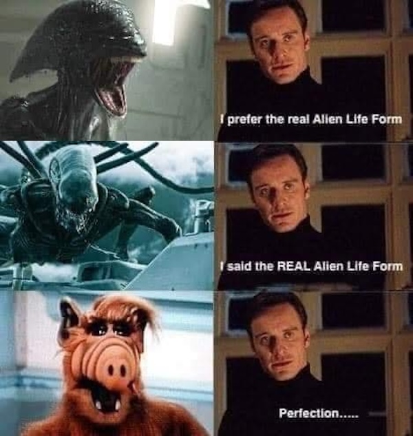 From Earth to Endor to Epsilon III, these Geeky Memes are for you