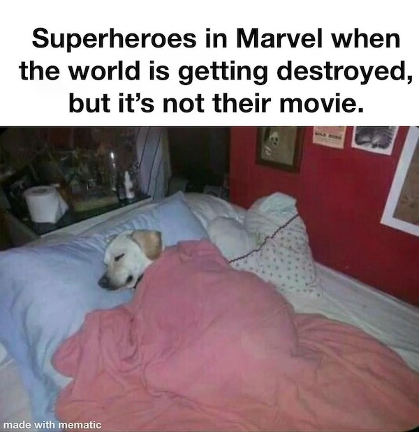 Memes for the Geeks (and Freaks) out there