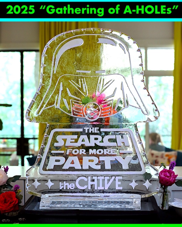 GIFs of Semi-Hot Girls earning 1st Place Award for Stupid Funny FAILs