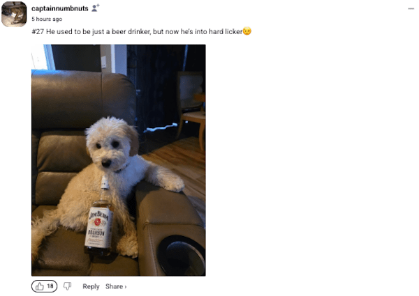 Top Comments found around the web will be found on theCHIVE