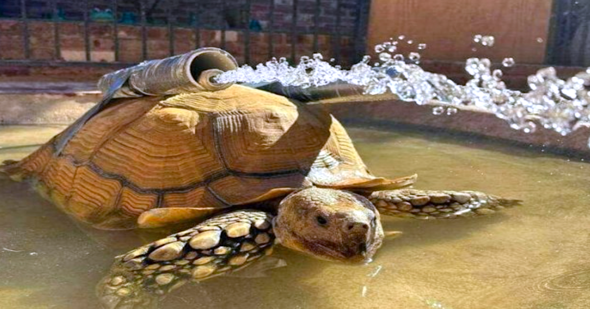 Daily Morning Awesomeness | Awesome Morning Pics, Gifs & More - theCHIVE