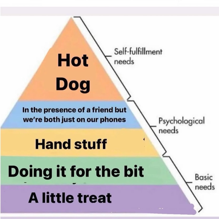 Daily Afternoon Randomness