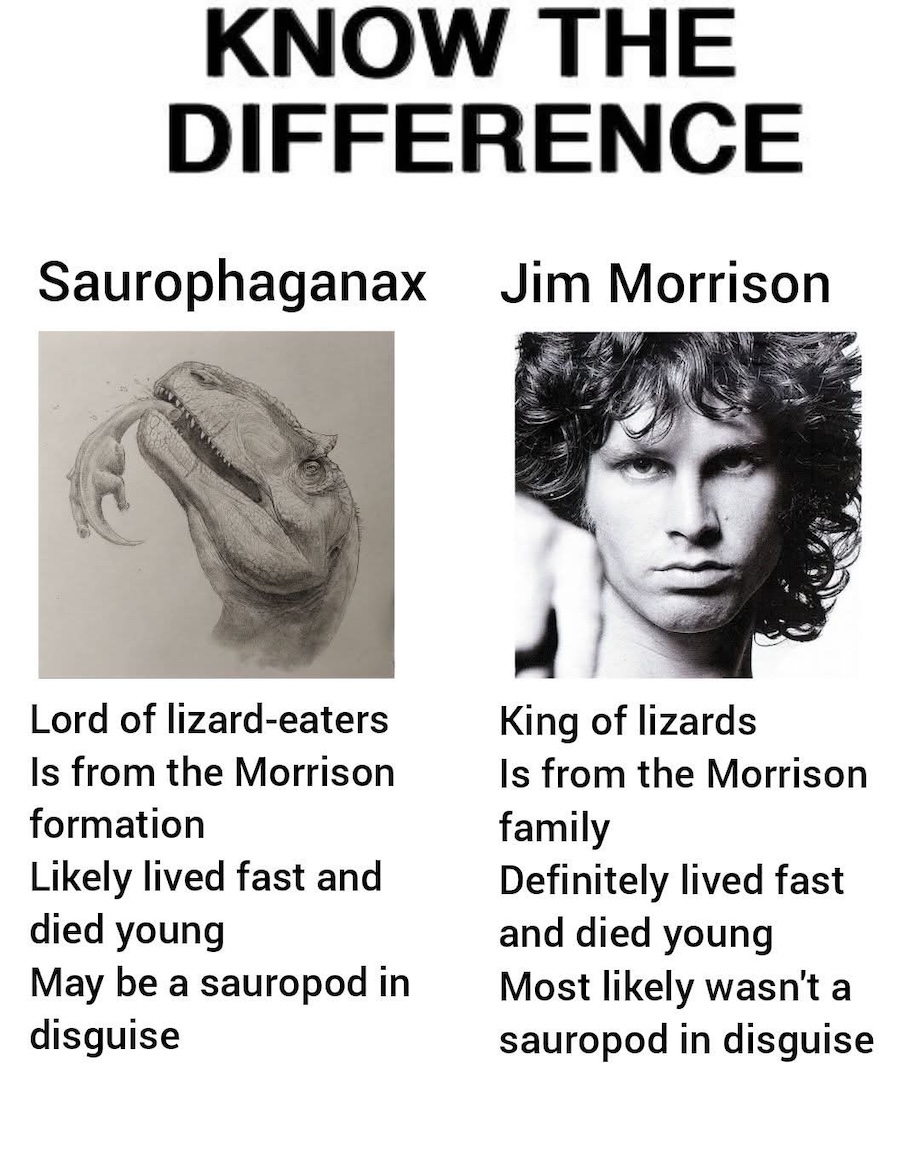 Daily Afternoon Randomness