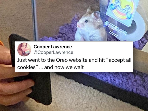 Moronic Memes 4 Dummies (32 Photos)