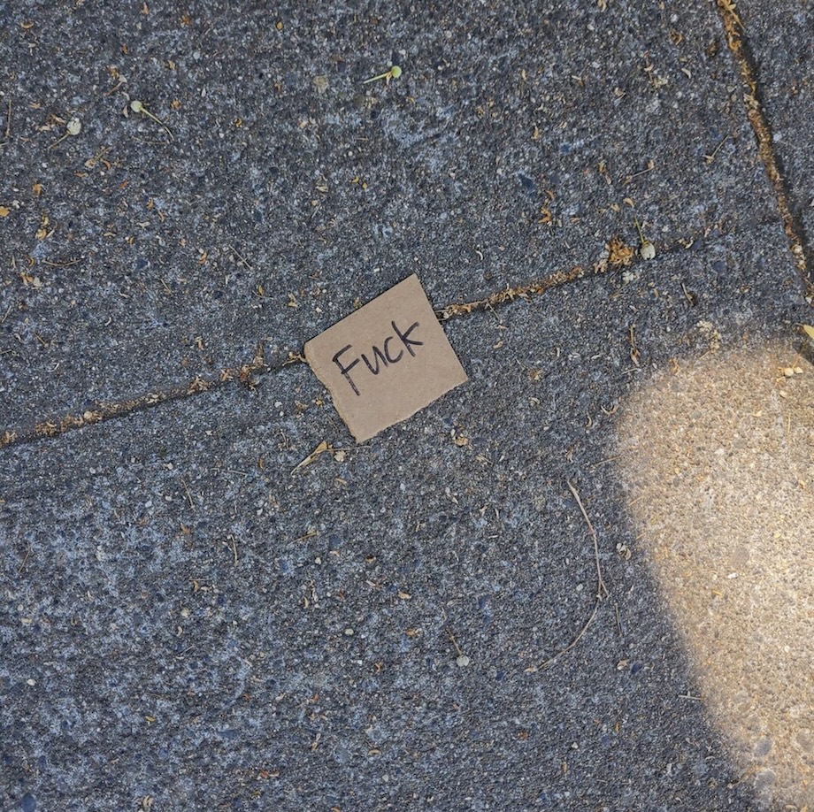 Daily Afternoon Randomness