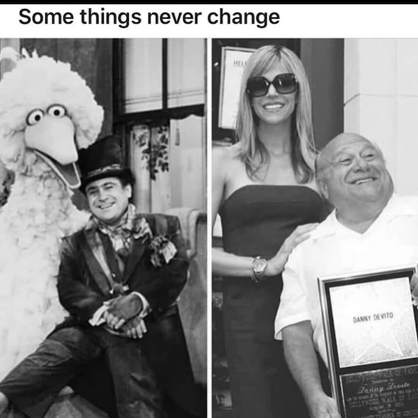 It's Always Sunny Memes To Make You Feel Pure
