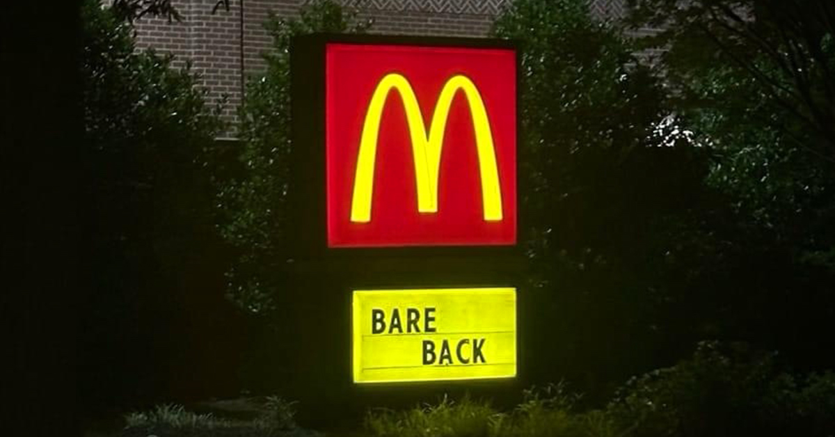 Daily Afternoon Randomness | Random Memes, Photos & Gifs - theCHIVE