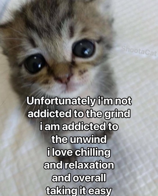 Daily Evening Randomness