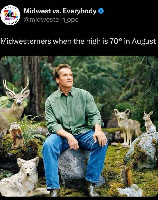 Midwest memes to pass around the table after a hot dish helping