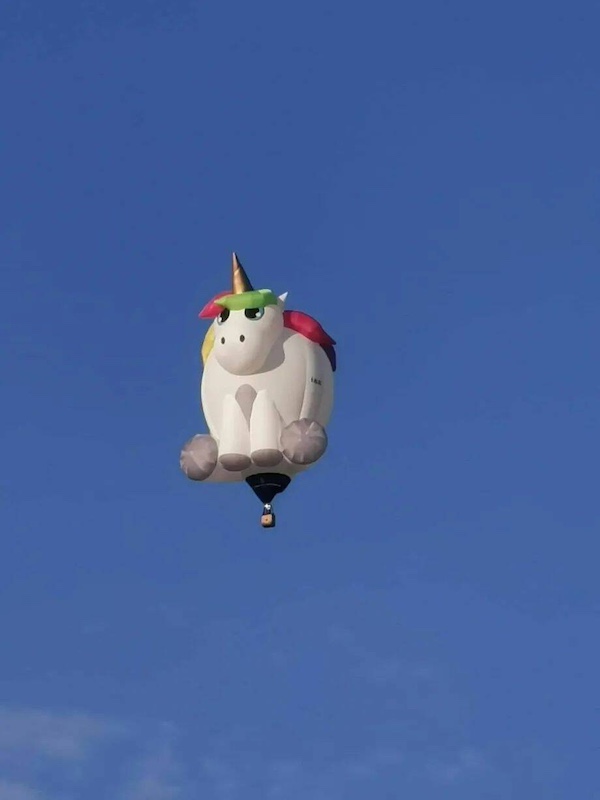 DAR is where the best viral photo randomness lives on the web