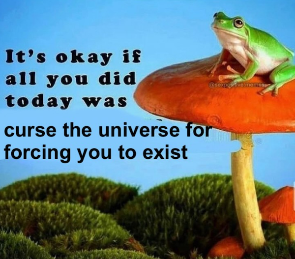 Daily Afternoon Randomness