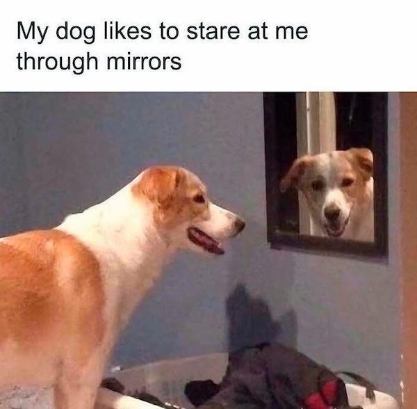 Daily Afternoon Randomness