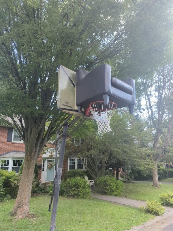 Daily Morning Awesomeness is a collection of photos that are about fun