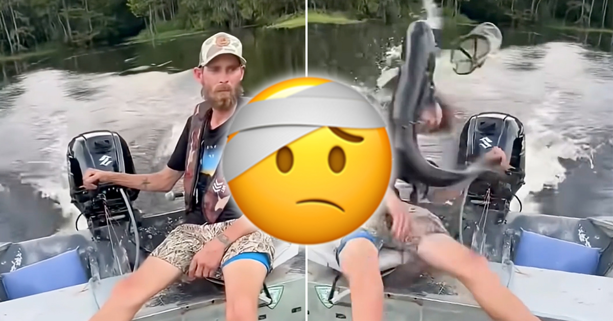 theCHIVE - Funny Pictures, Photos, Memes & Videos – theCHIVE.com