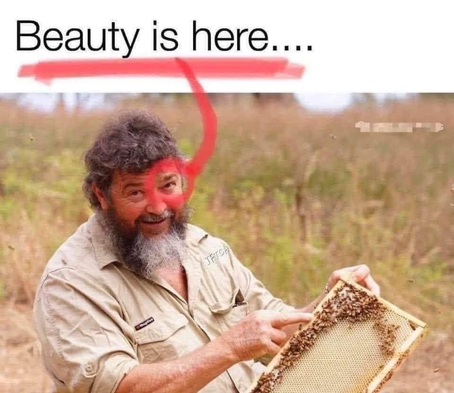 Daily Afternoon Randomness