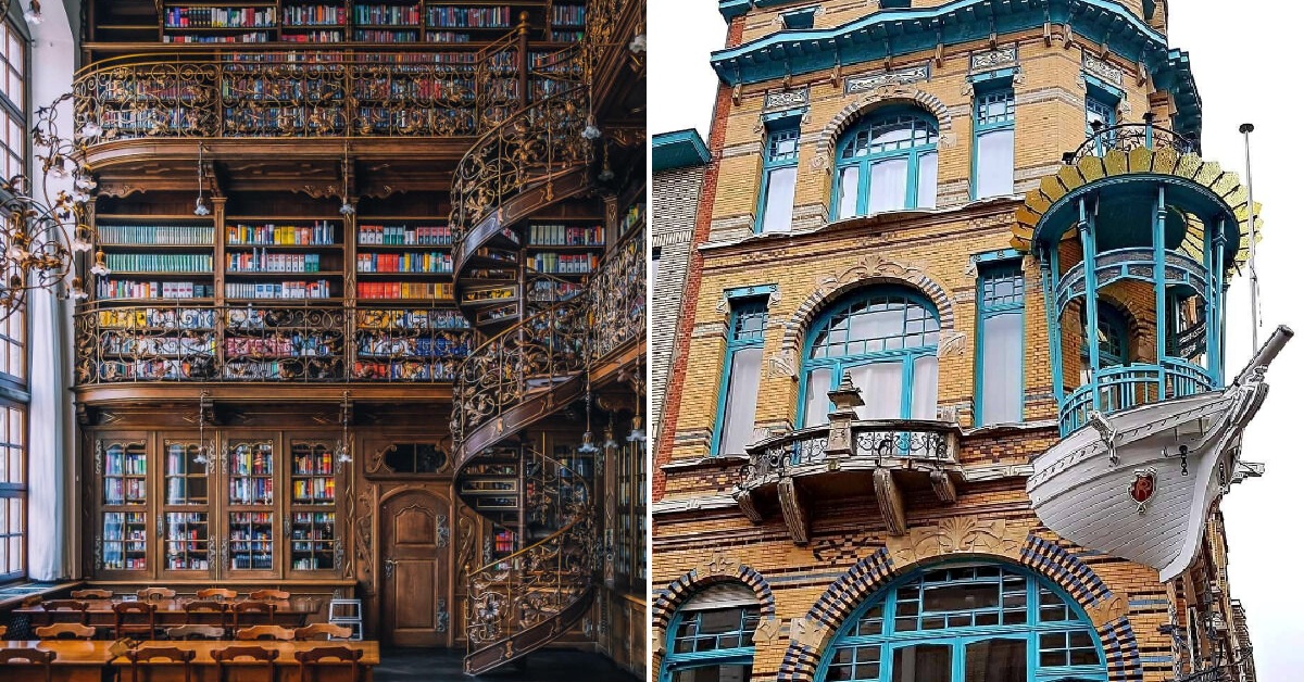 Daily Afternoon Randomness | Random Memes, Photos & Gifs - theCHIVE