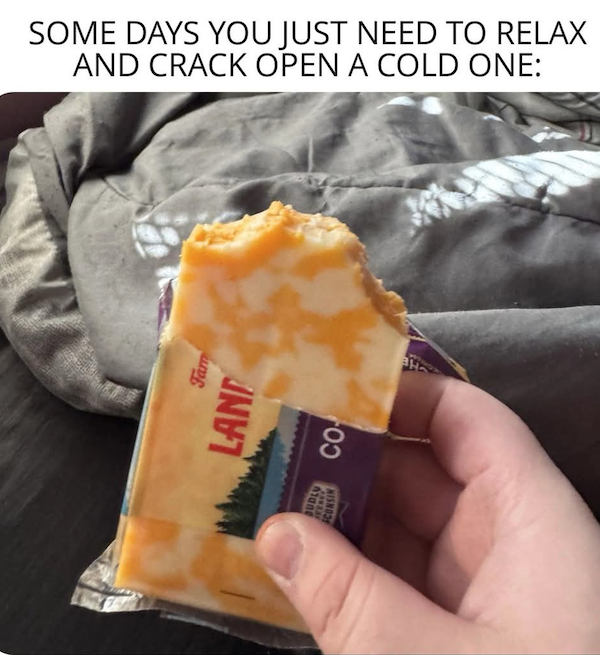 Cheesy Memes Funny Morning Sucks Photo Captions Best New 2025 Pictures