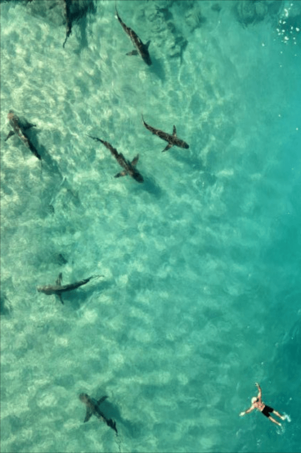 Daily Afternoon Randomness Best Funny Photos Sexy Chivette Girls DAR