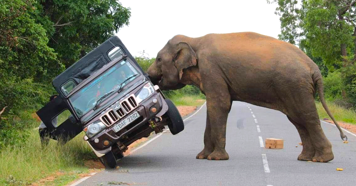 Daily Afternoon Randomness Best Funny Photos Sexy Chivette Girls DAR