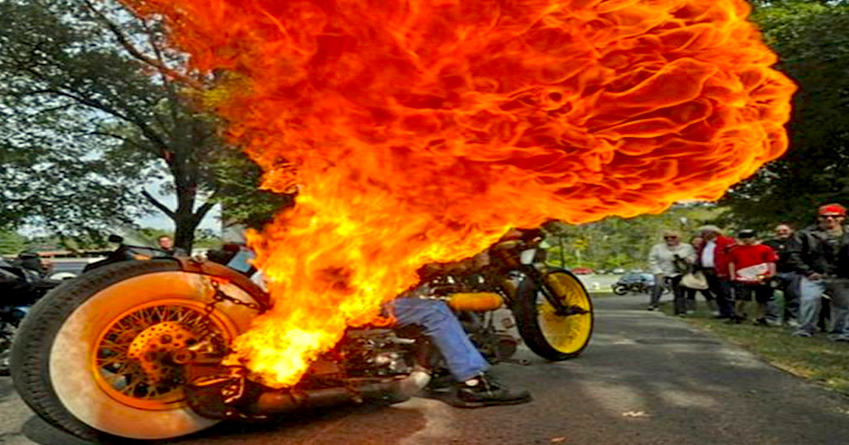 Daily Afternoon Randomness | Random Memes, Photos & Gifs - theCHIVE