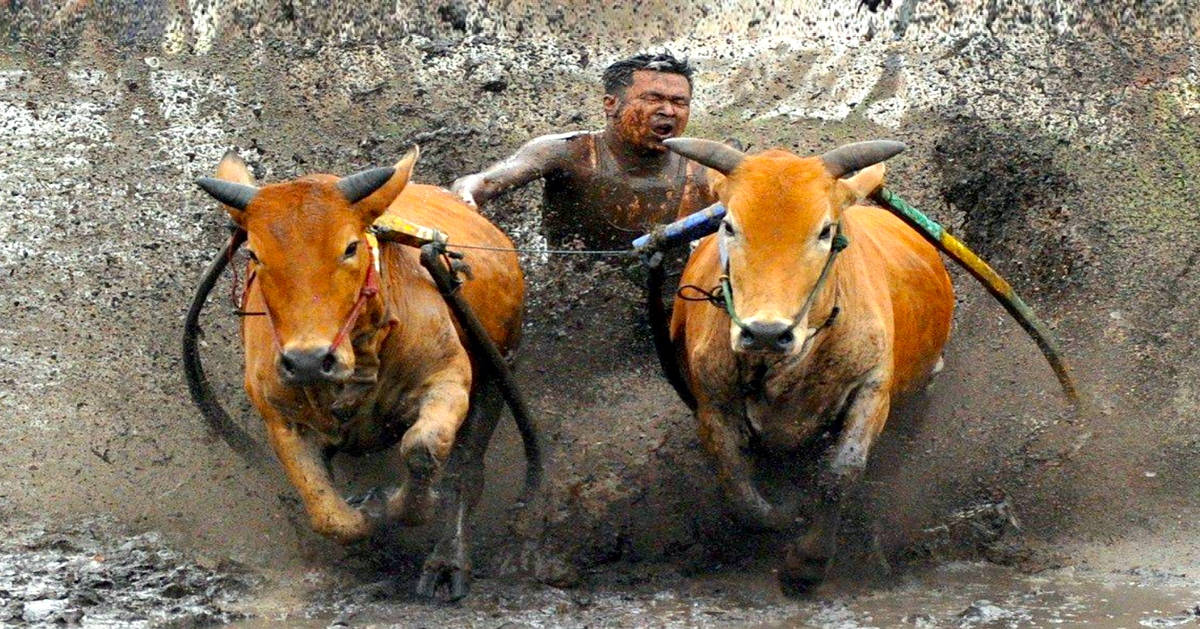 Daily Morning Awesomeness Top Funny Pictures Best WTF Humor Chive DMA