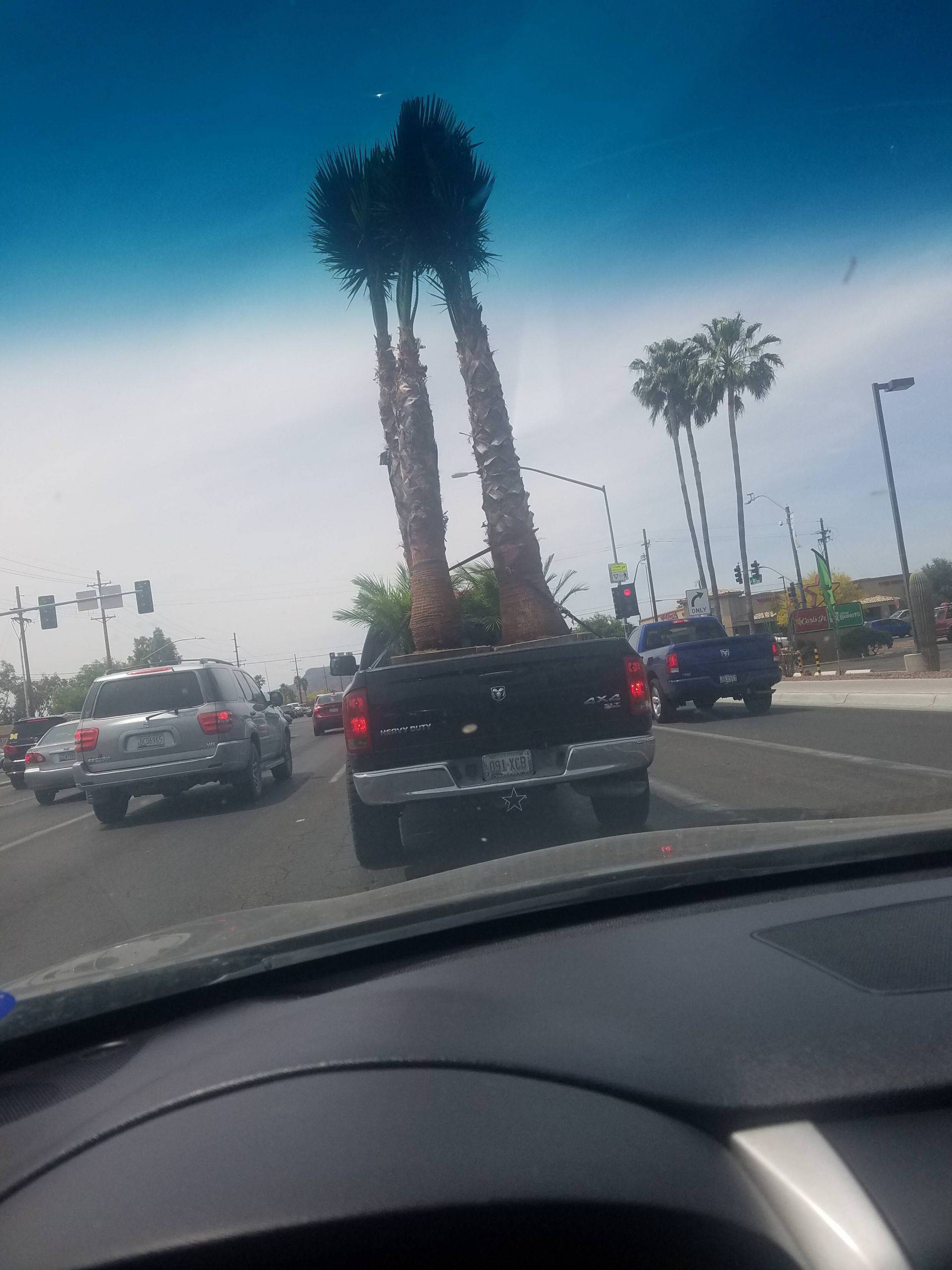 Daily Morning Awesomeness Best Funny Random Humor Photos of Week