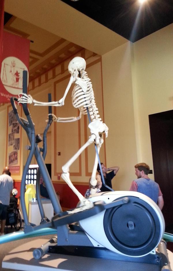 Daily Morning Awesomeness Best Funny Random Humor Photos of Week