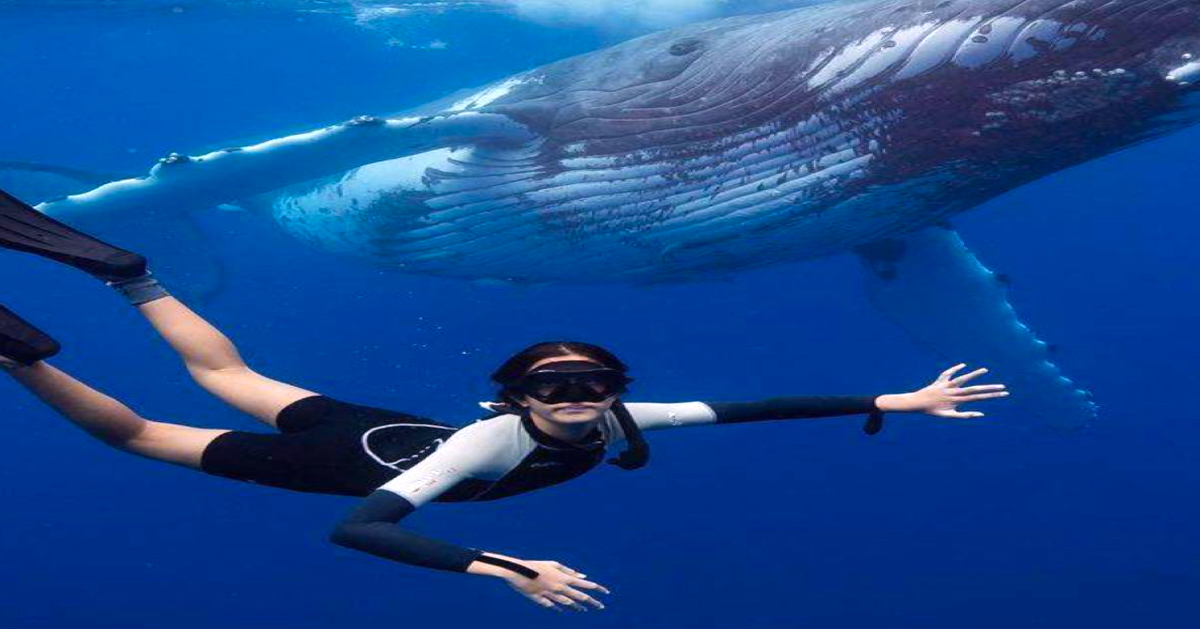 Daily Morning Awesomeness | Awesome Morning Pics, Gifs & More - theCHIVE