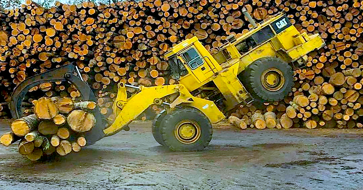 Daily Afternoon Randomness | Random Memes, Photos & Gifs - theCHIVE