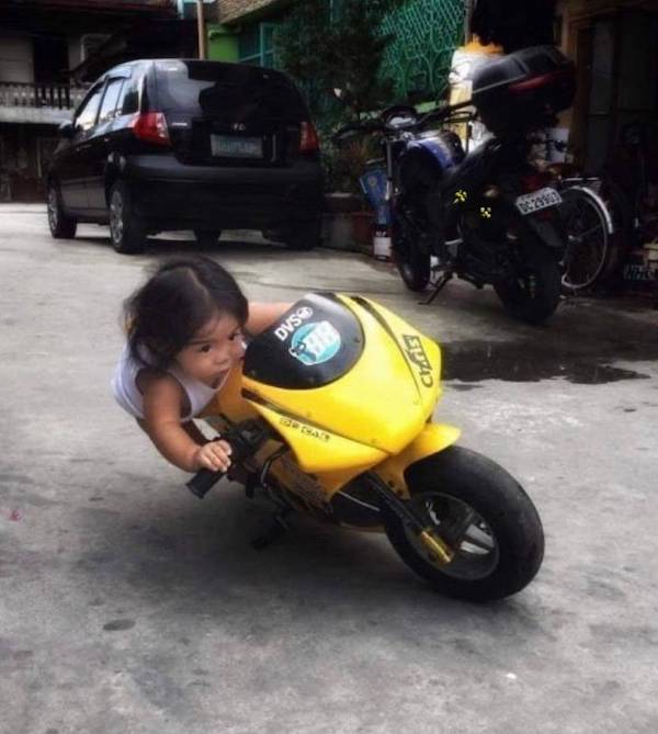 Daily Morning Awesomeness Best WTF Funny Pics and Amazing Randomness