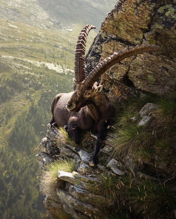 Daily Morning Awesomeness Best WTF Funny Pics and Amazing Randomness