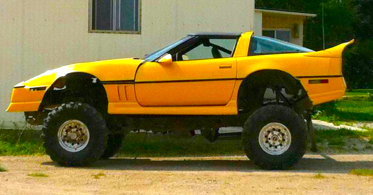 Daily Morning Awesomeness | Awesome Morning Pics, Gifs & More - theCHIVE