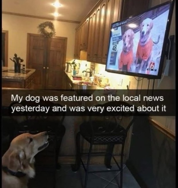 Respectful Memes for Wholesome Minds (40 Photos)