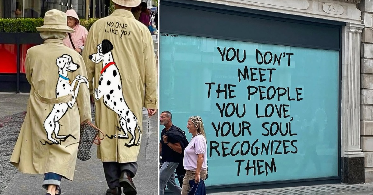 Daily Afternoon Randomness | Random Memes, Photos & Gifs - theCHIVE