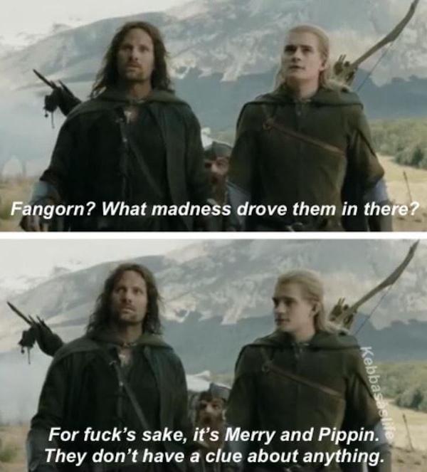 Logic-LESS Memes for Funny Morning Hangover Humor Top Beer Captions