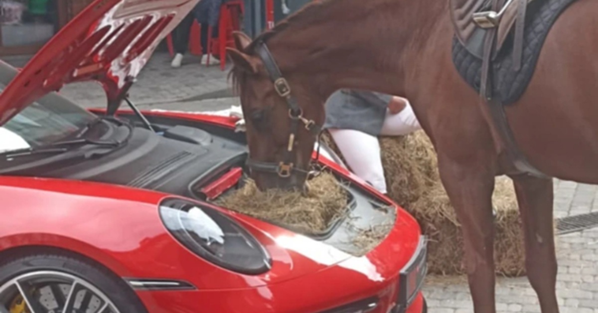 Epic Fails | Funny Fail Memes, Videos, and Pics - theCHIVE