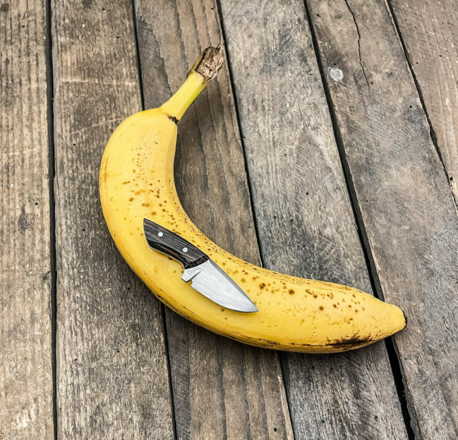 Daily Afternoon Randomness