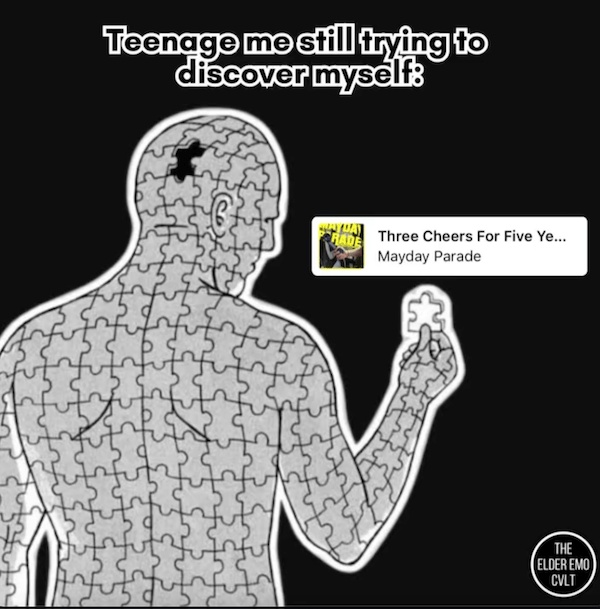 25 Emo Memes for Pop Punk Professionals
