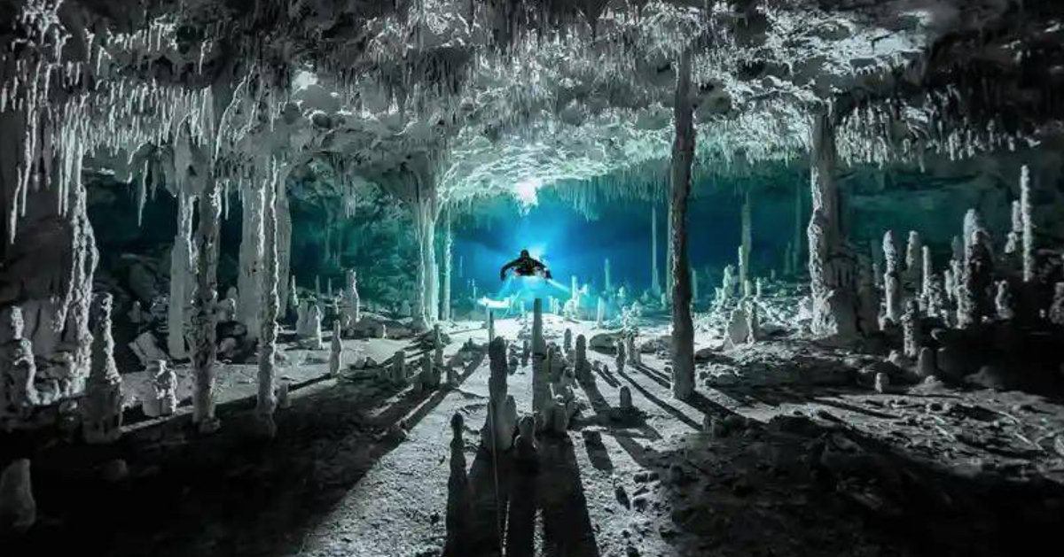 Daily Afternoon Randomness | Random Memes, Photos & Gifs - theCHIVE