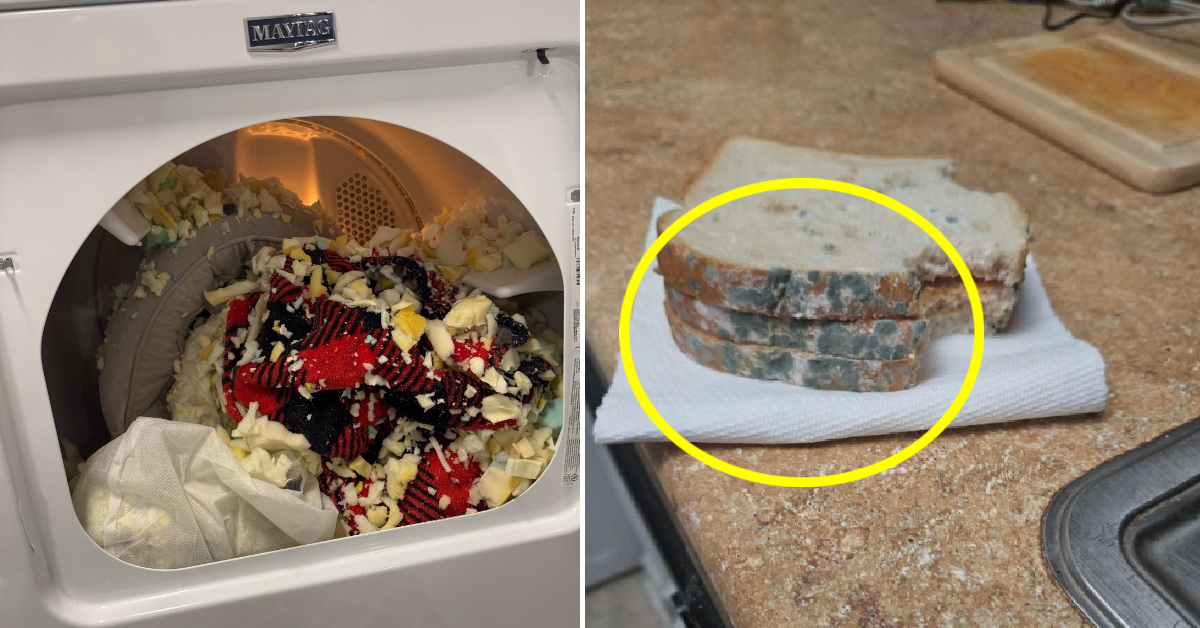 You Got Owned! | Owned Memes & Owned Gifs - theCHIVE