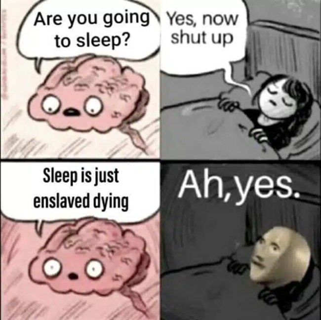 Insomnia Memes That Hit Harder Than Your Next Melatonin